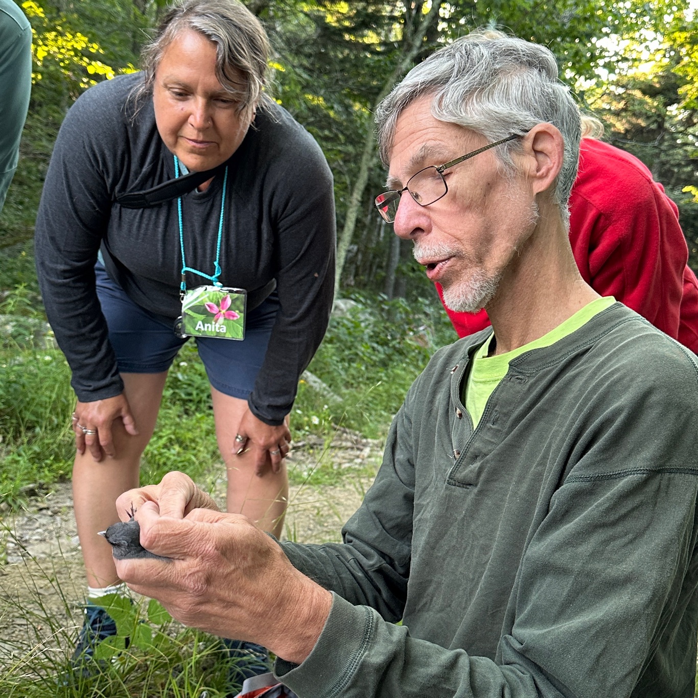 A Grand Day at Grandfather Mountain – Educators of Excellence Institutes