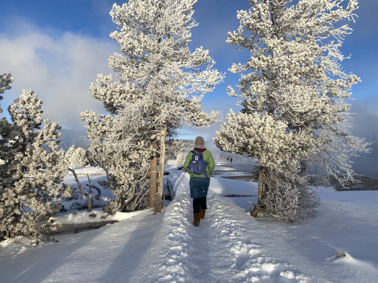 Screensaver or Real Life? – Educators of Excellence Institutes